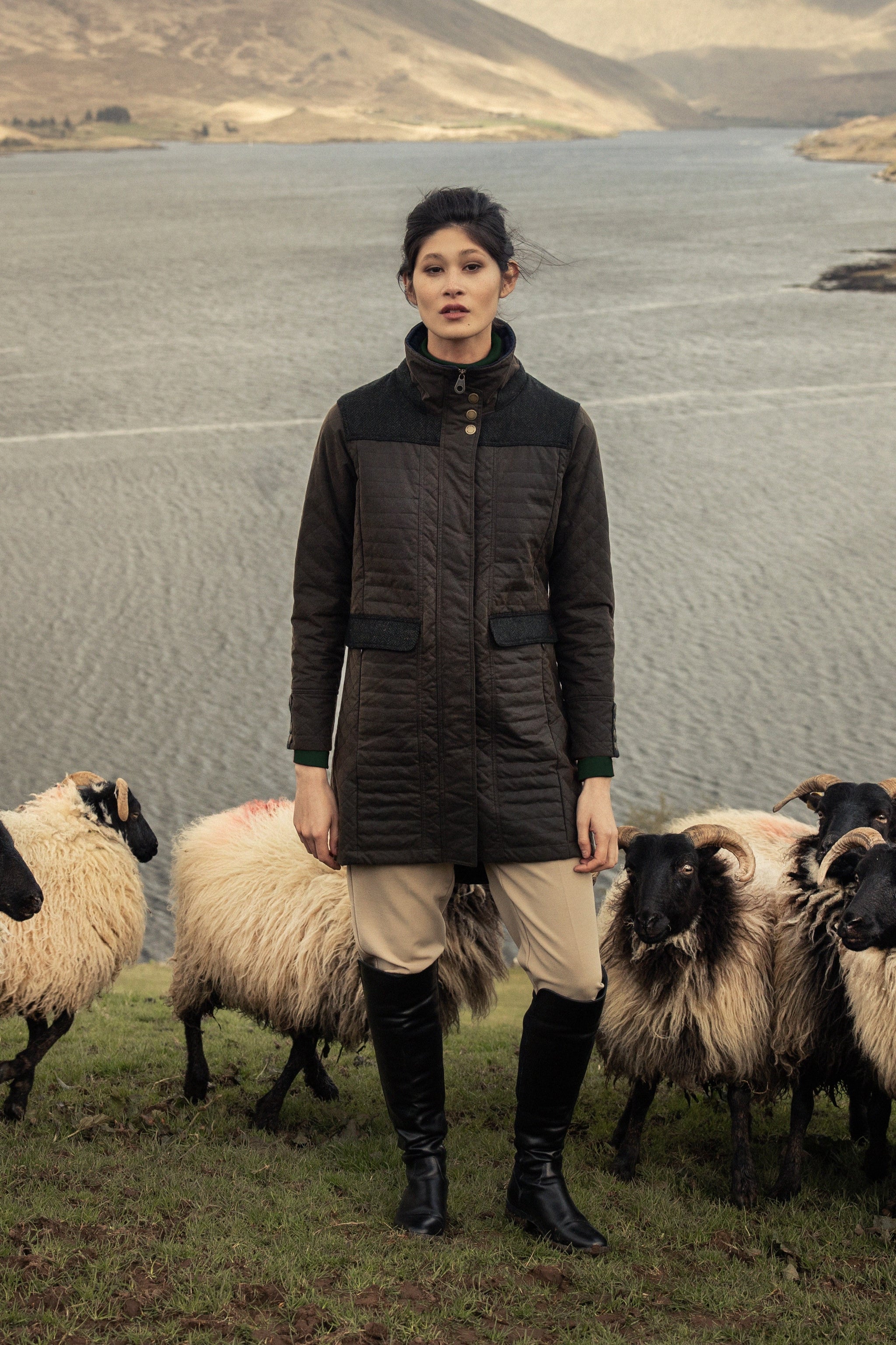 Jackets For Women | Womens Coats | Ladies Coats | Jack Murphy